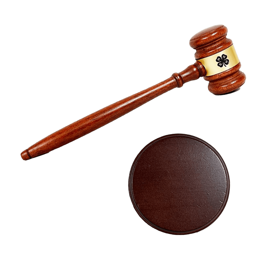 10 1/2-Inch Gavel and Sounding Block Bundle – Shop 4-H