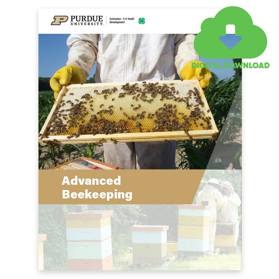 Level 3: Advanced Beekeeping - Digital Download – Shop 4-H