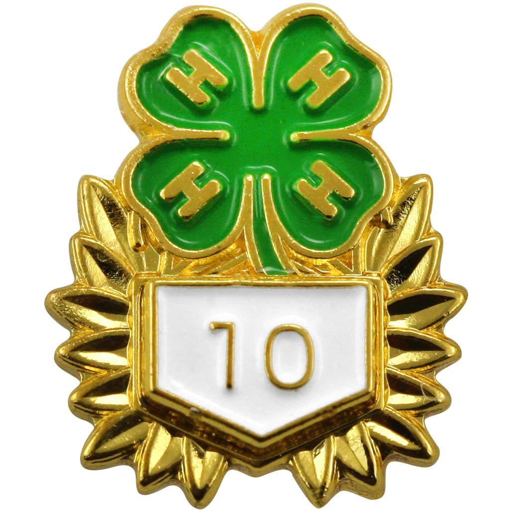 10th Year Completion Pin – Shop 4-H