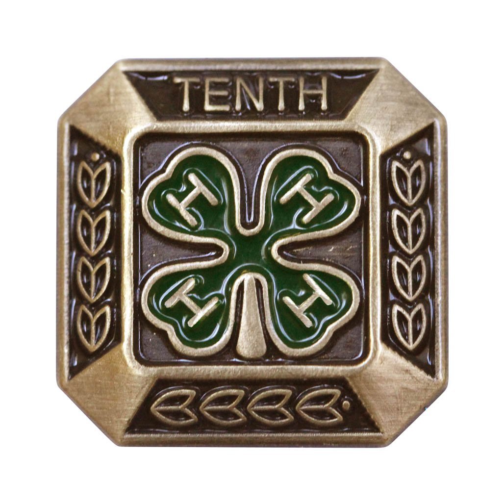 10th Year Member Bronze Pin – Shop 4-H