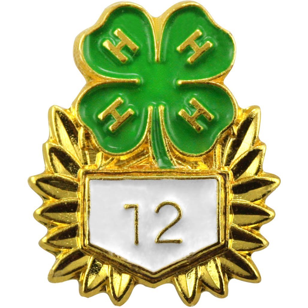 12th Year Completion Pin – Shop 4-H