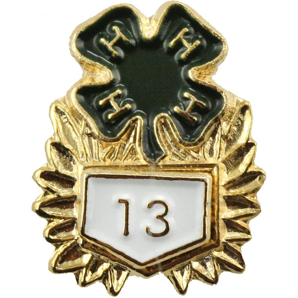13th Year Completion Pin – Shop 4-H