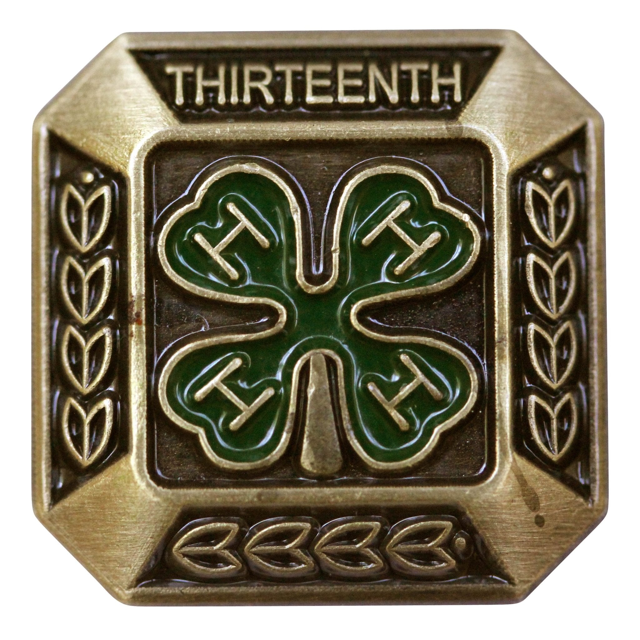 13th Year Member Bronze Pin – Shop 4-H