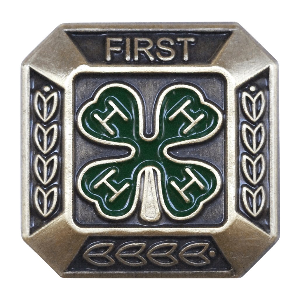1st Year 4-H Member Bronze Pin – Shop 4-H