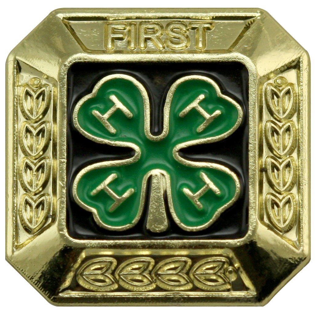 1st Year Member Gold Pin – Shop 4-H