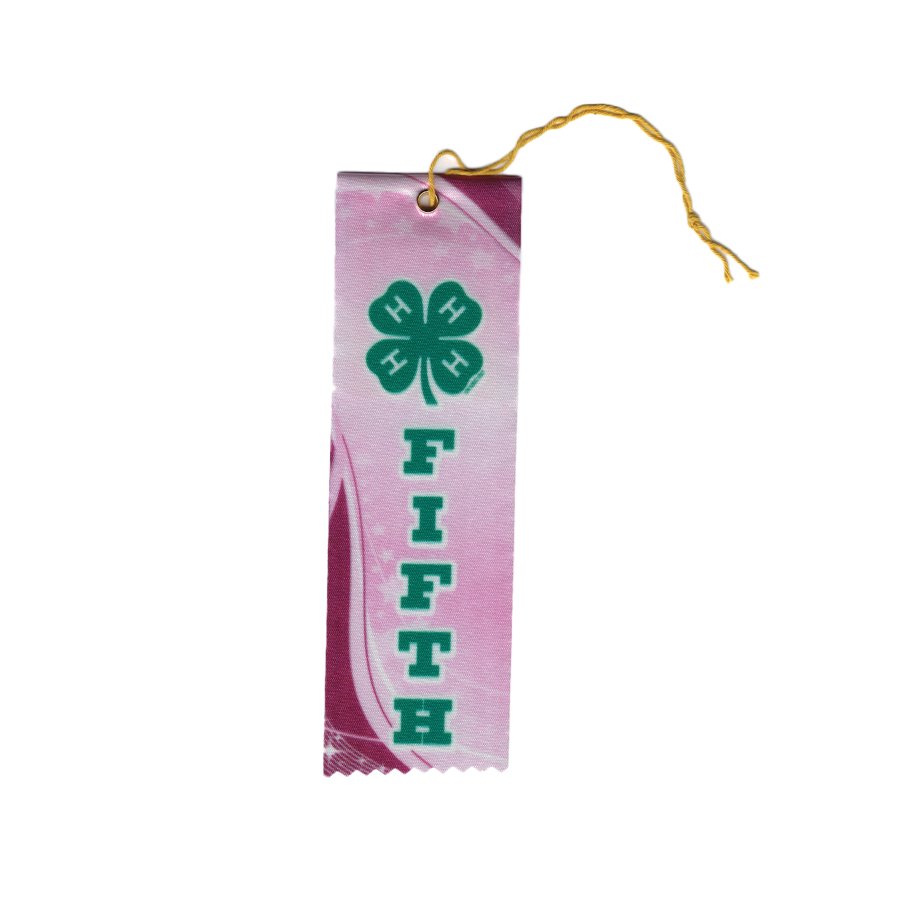 2” x 6” Pink Fifth Place Award Ribbon – Shop 4-H