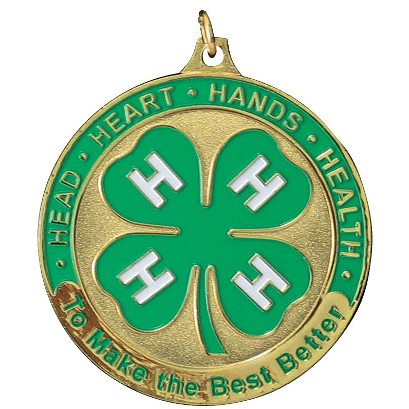 4-H Achievement Medal – Shop 4-H