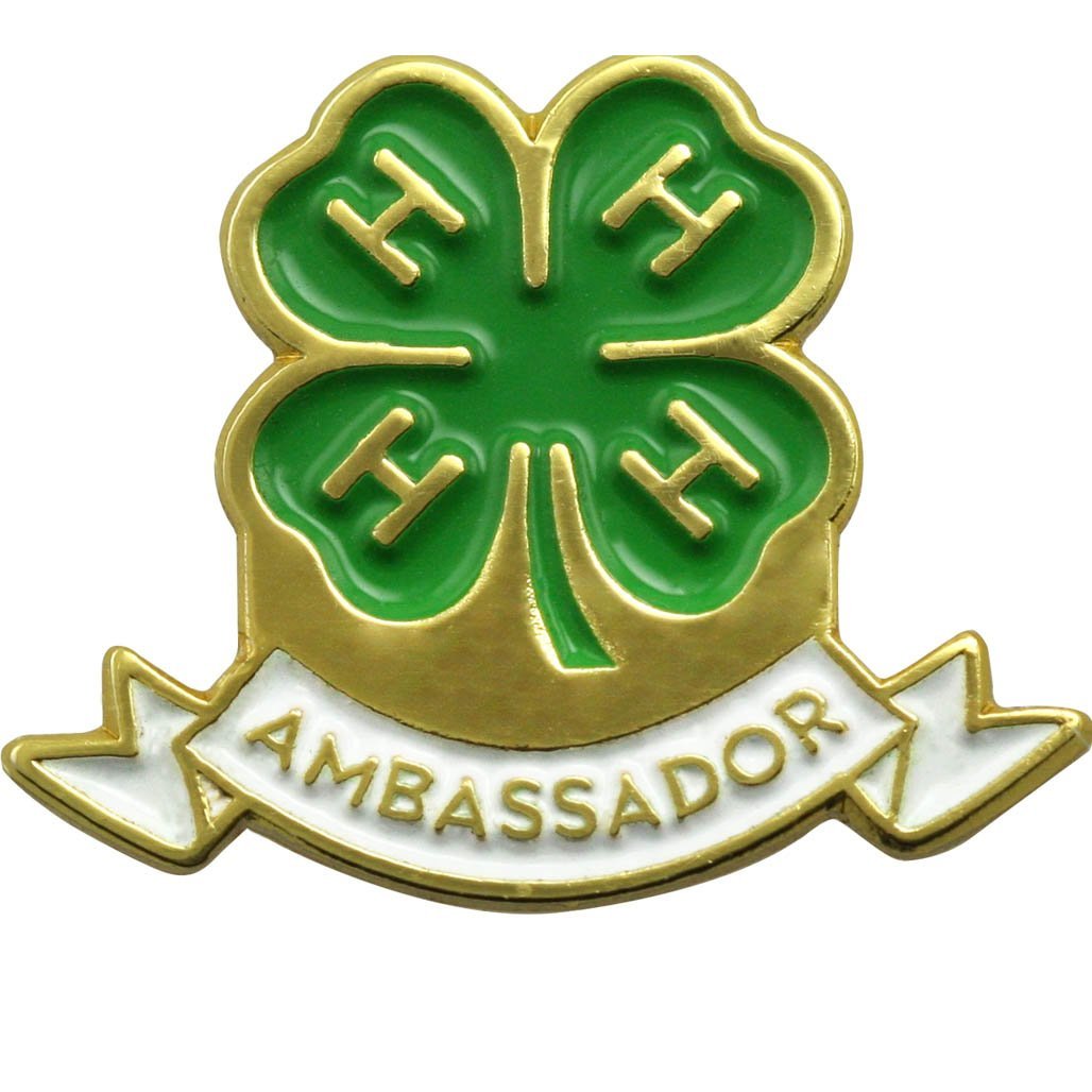 4-H Ambassador Pin – Shop 4-H