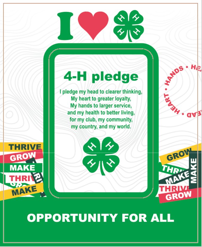 4-H Rectangle Punchout Picture Frame Magnet – Shop 4-H