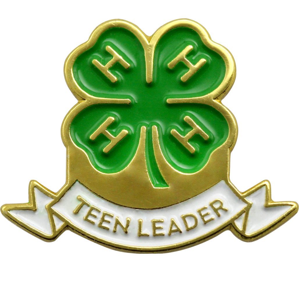 4-H Teen Leader Pin – Shop 4-H