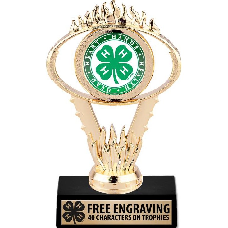 6" Oval Trophy with Insert Choice – Shop 4-H