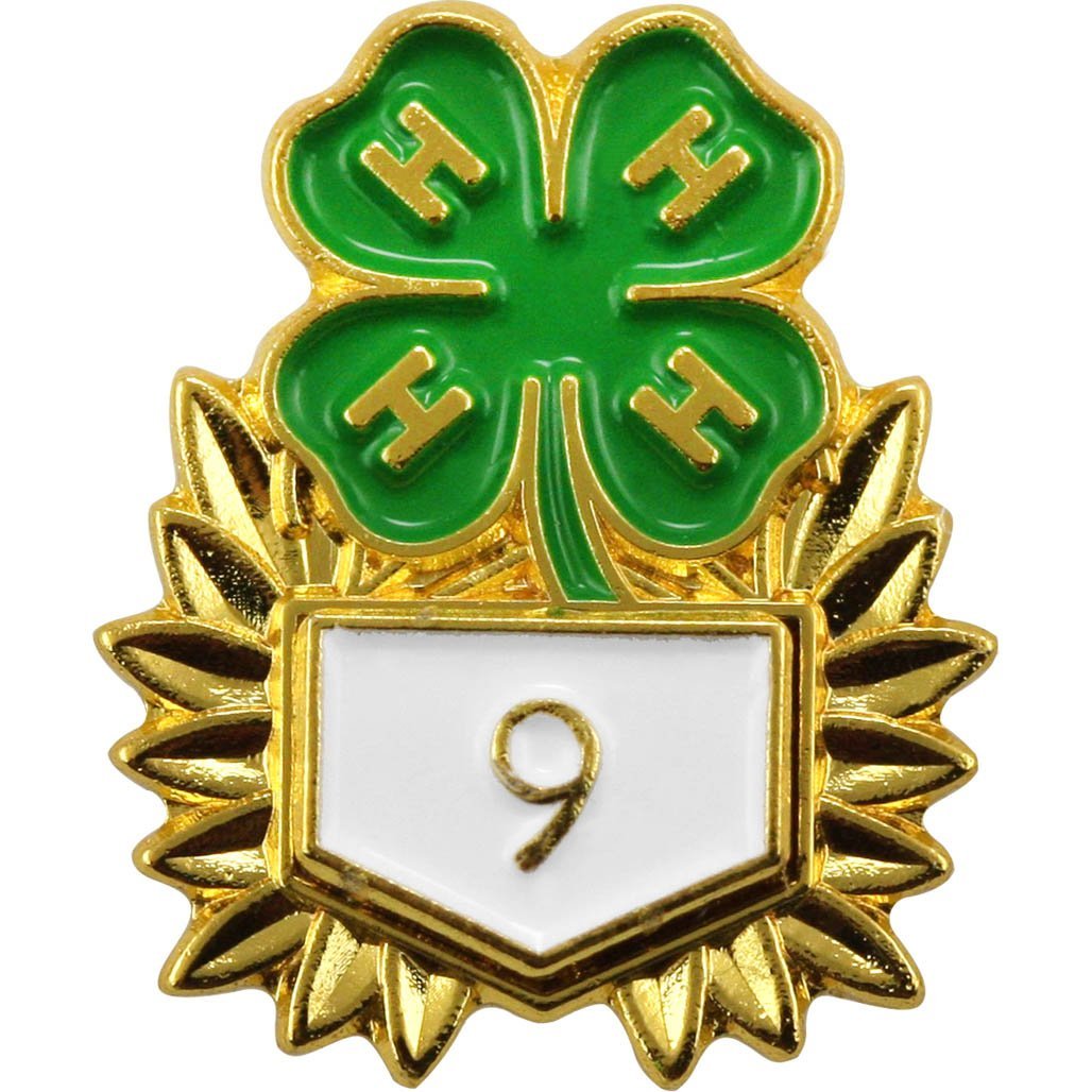 9th Year Completion Pin – Shop 4-H