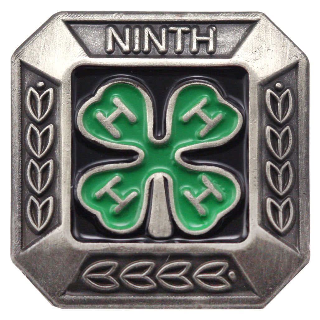 9th Year Member Silver Pin – Shop 4-H