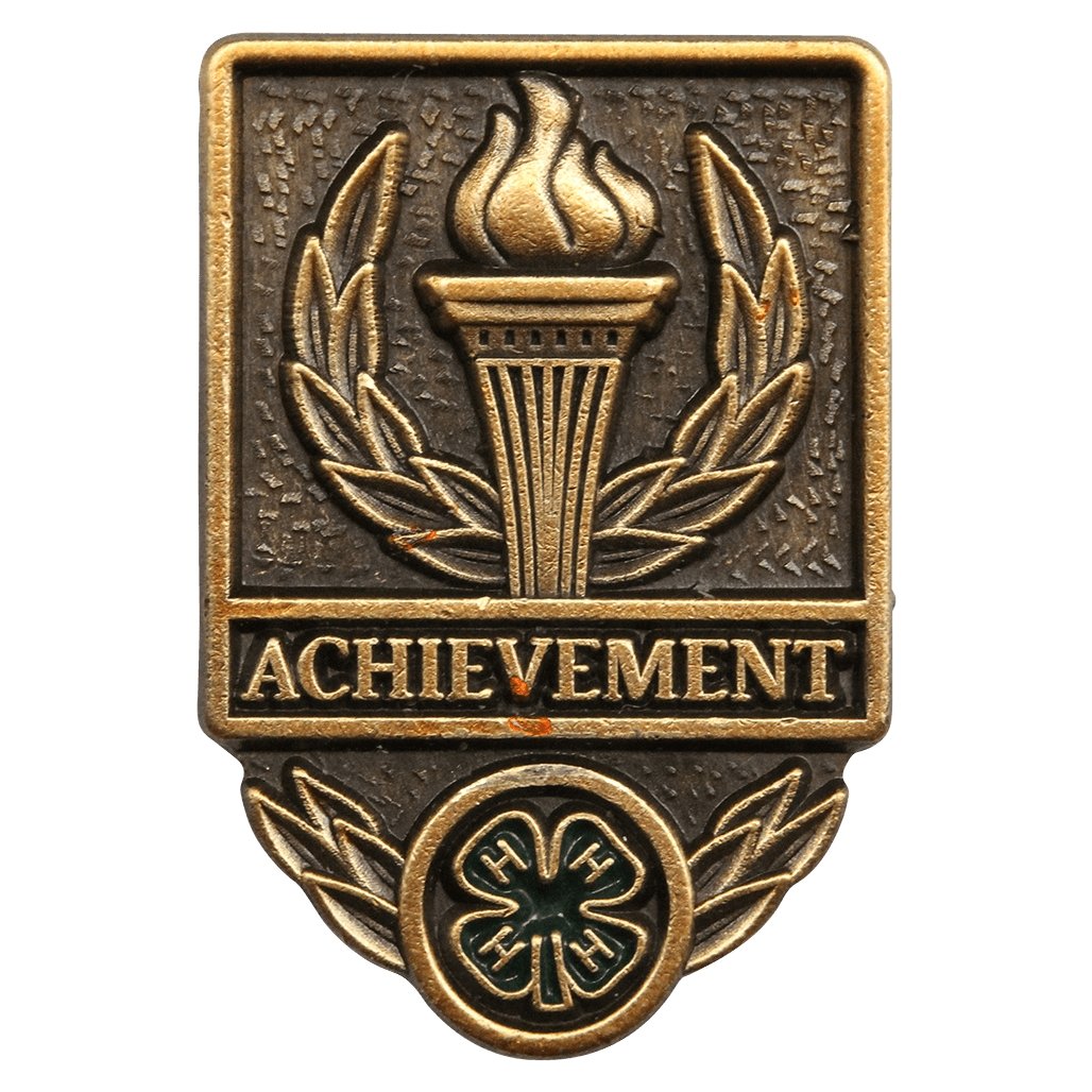 Achievement Pin – Shop 4-H