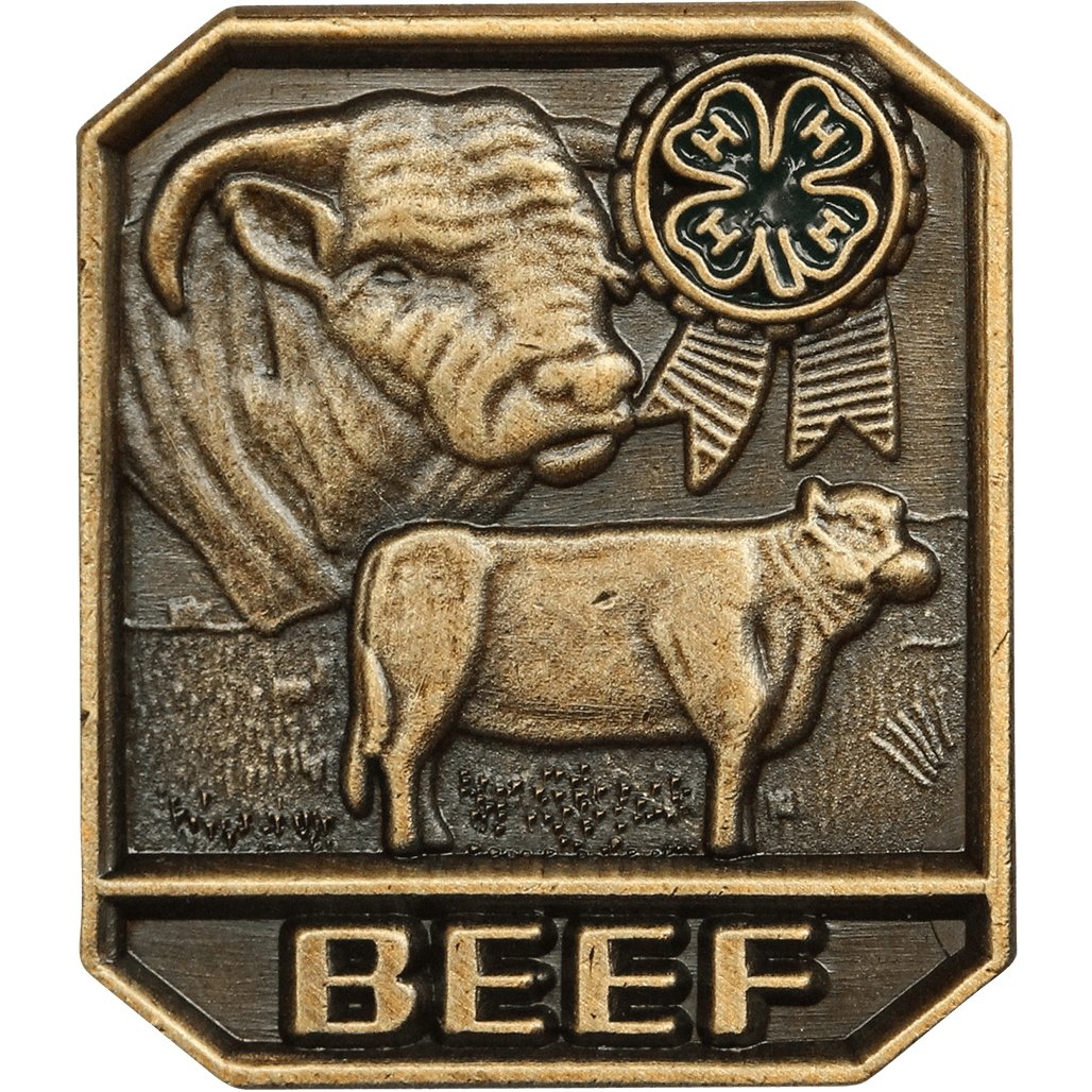 Beef 4-H Pin – Shop 4-H