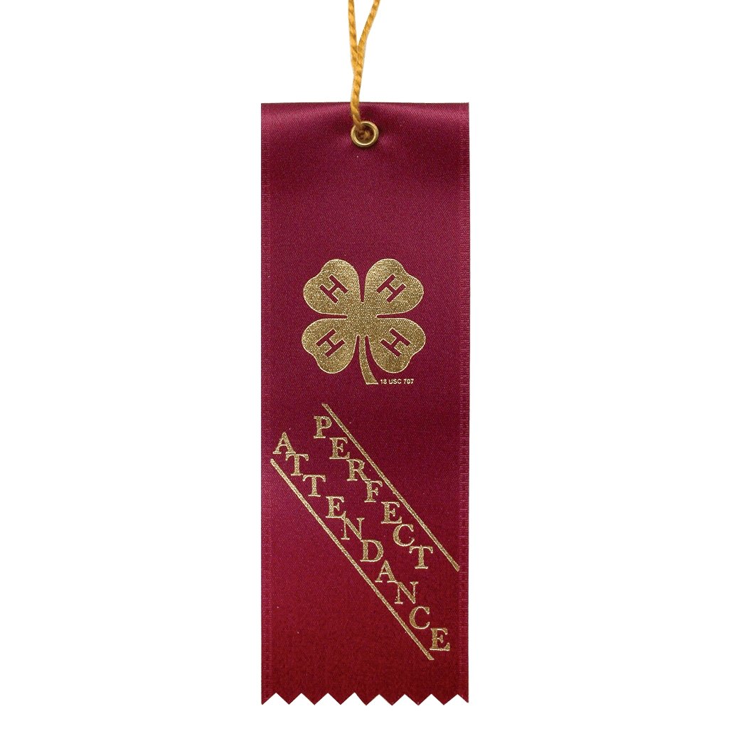 Dark Red Perfect Attendance Ribbon – Shop 4-H