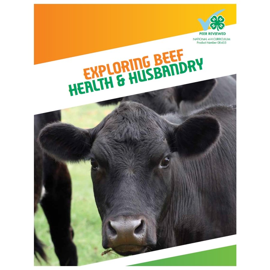 Exploring Beef Health and Husbandry – Shop 4-H
