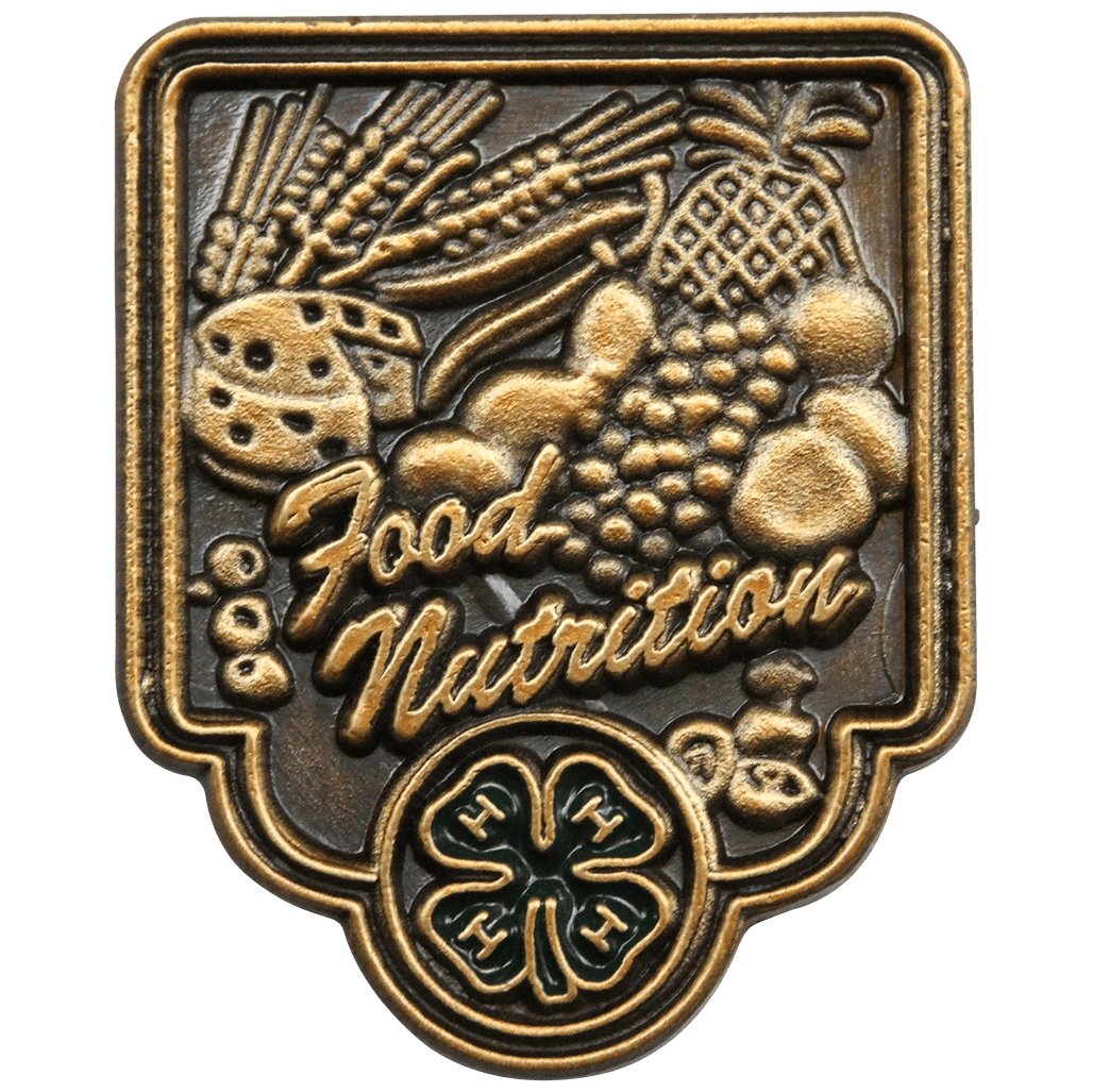 Food & Nutrition Pin – Shop 4-H