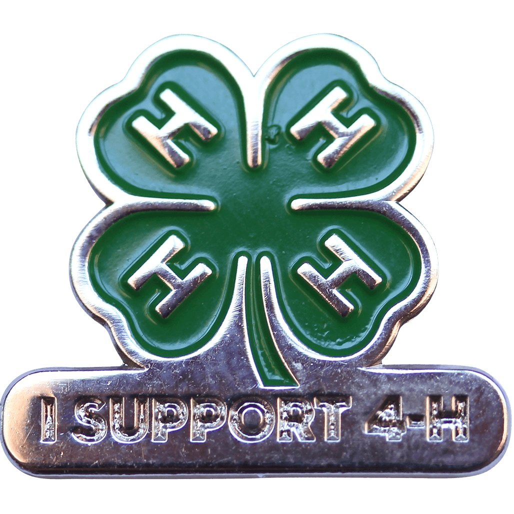 I SUPPORT 4-H PIN – Shop 4-H
