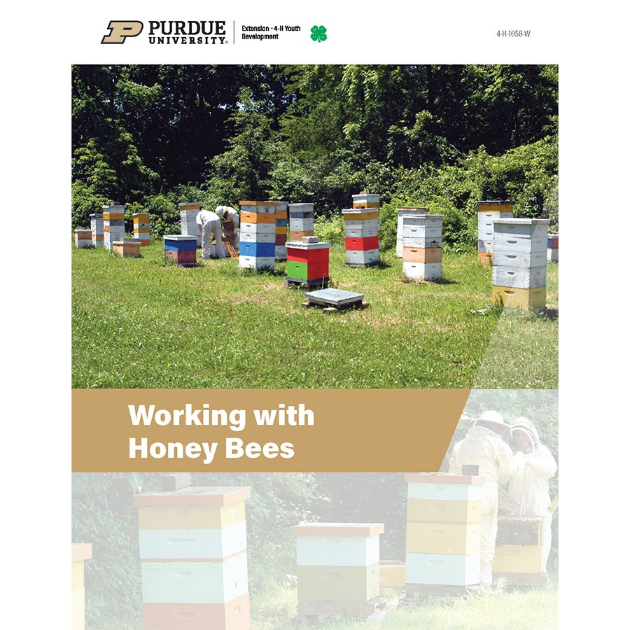 Level 2 - Working with Honey Bees – Shop 4-H