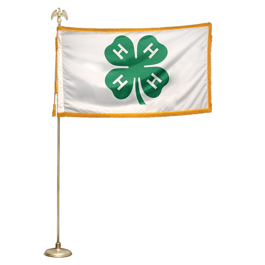 Mounted 3' x 5' 4-H Flag with Stand – Shop 4-H