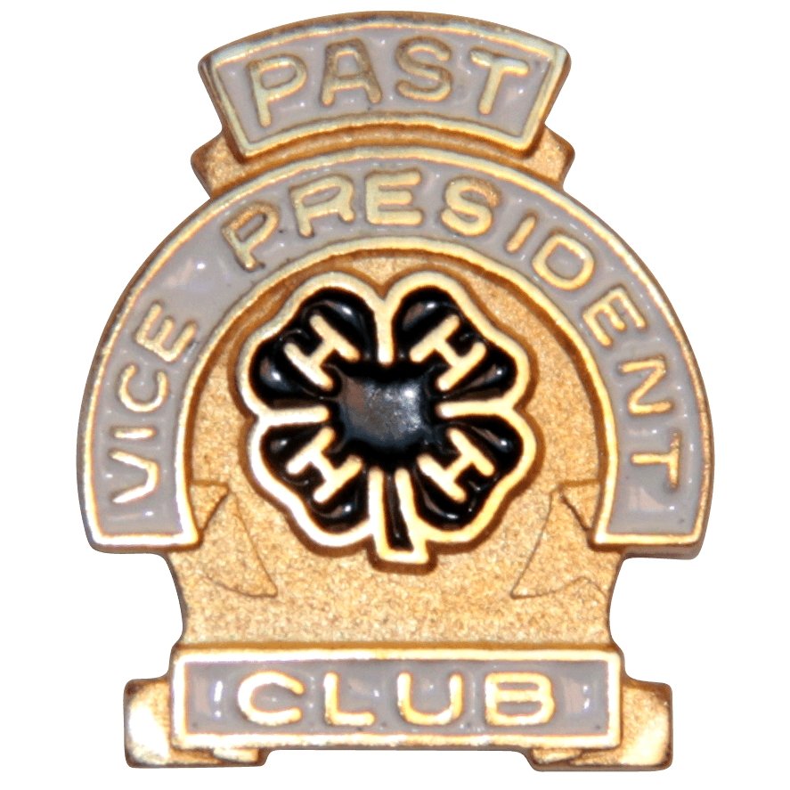 4-H Past Club Vice President Pin – Shop 4-H