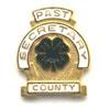 4-H Past County Secretary Pin – Shop 4-H