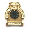 4-H County Vice President Pin – Shop 4-H