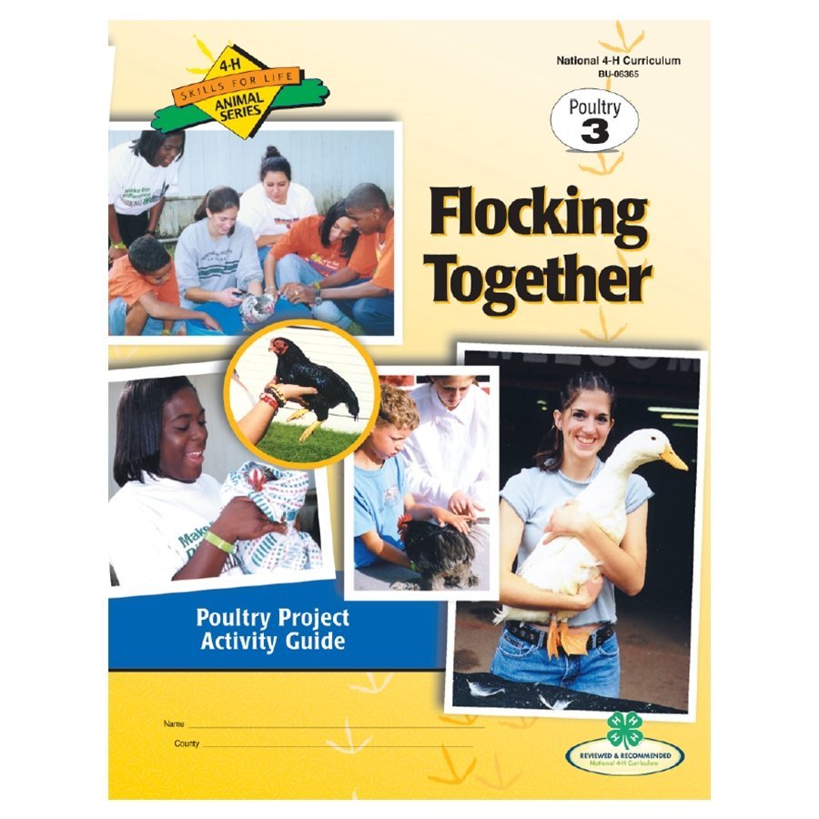Poultry Curriculum Level 3: Flocking Together – Shop 4-H