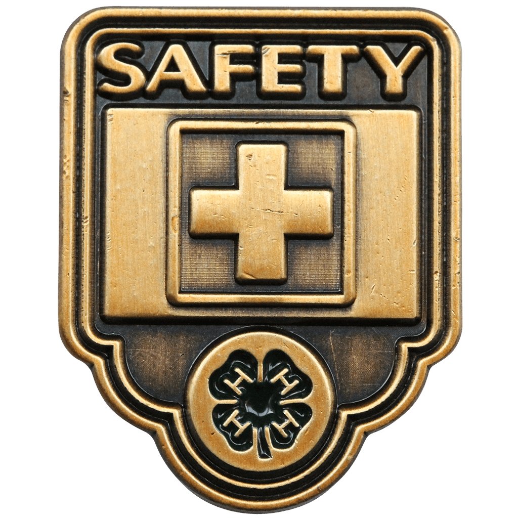 Safety Pin – Shop 4-H