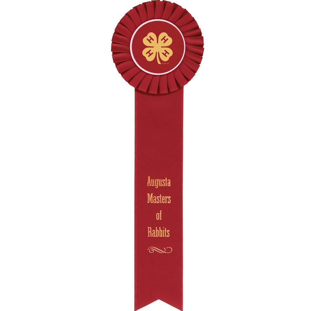 Single Streamer Ribbon - Min Qty of 6 – Shop 4-H