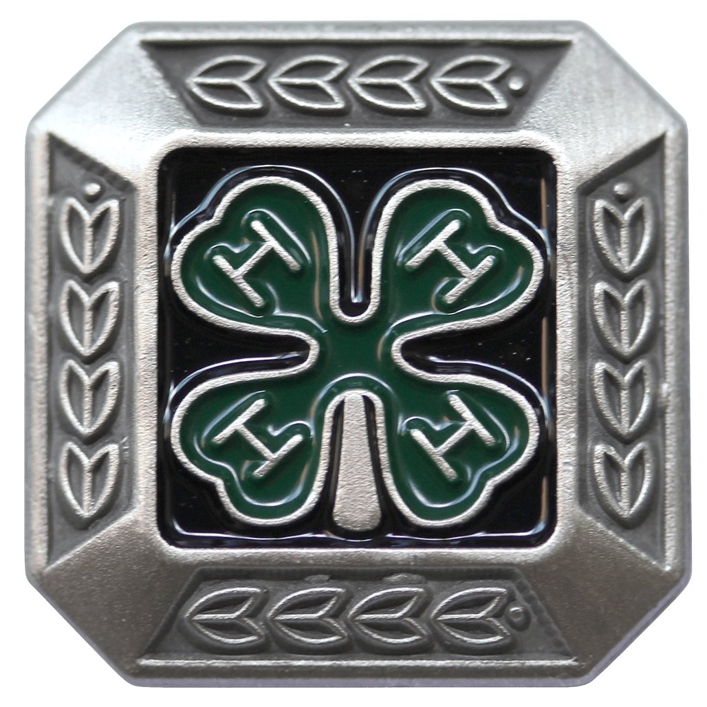 Standard Silver Pin – Shop 4-H
