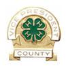 4-H County Vice President Pin – Shop 4-H